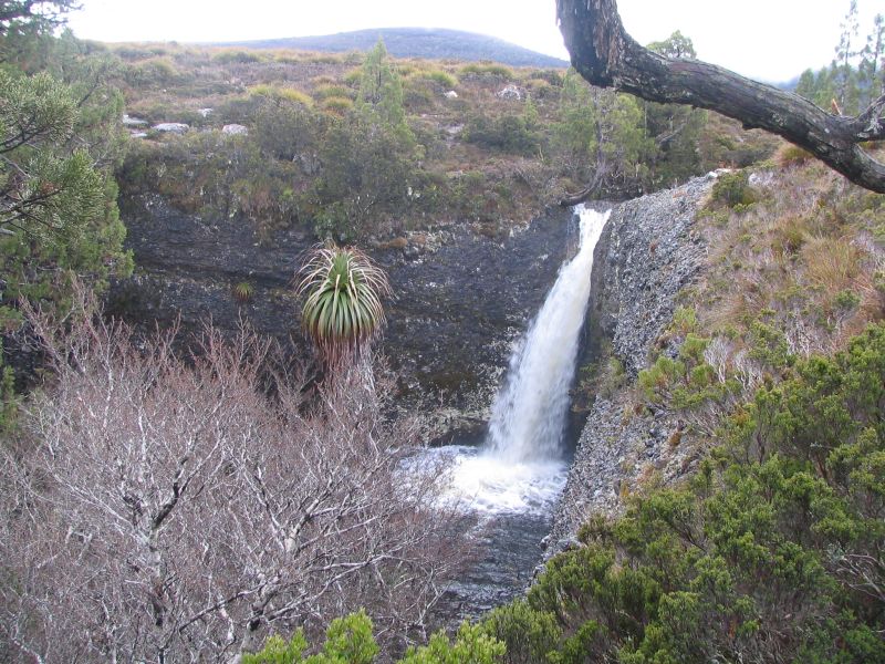 3-17 July 2005 Tasmania - 06 Innes Falls from Lake Will