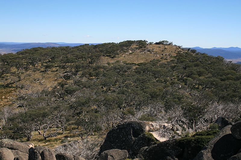 7 April 2009 Mt Murray from Yaouk - 2 Mt Murray W from Mt Murray E